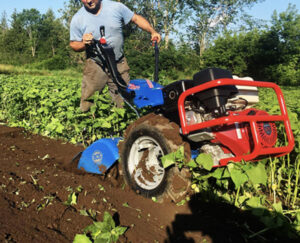 BCS MODEL 732 | Hometown Motors