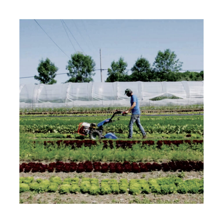 BCS REAR-TINE TILLER | Hometown Motors